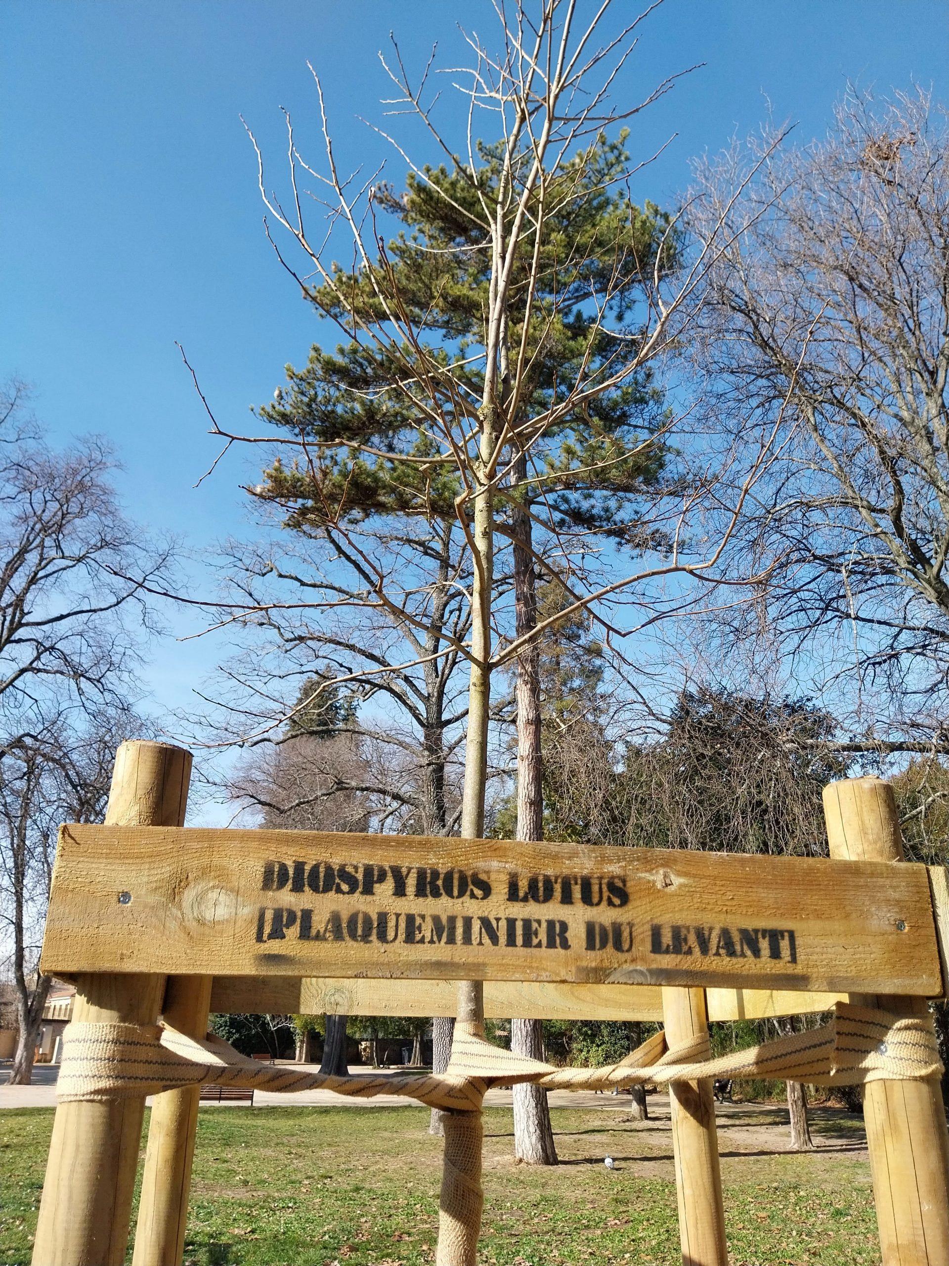 PARC RAMBOT : LA MISE EN BEAUTÉ CONTINUE | CIQ du Pont de Béraud
