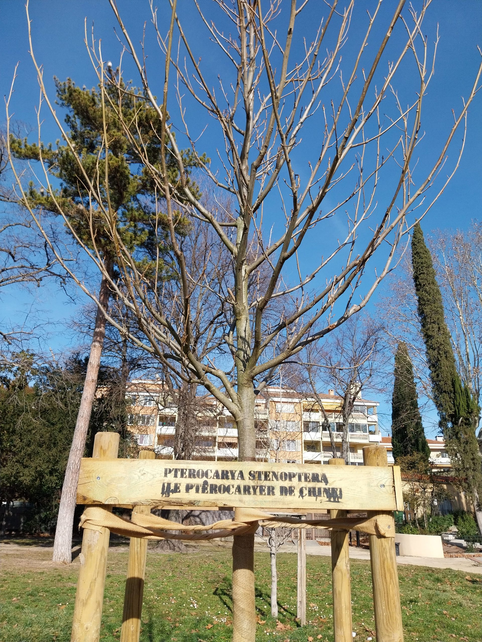 PARC RAMBOT : LA MISE EN BEAUTÉ CONTINUE | CIQ du Pont de Béraud